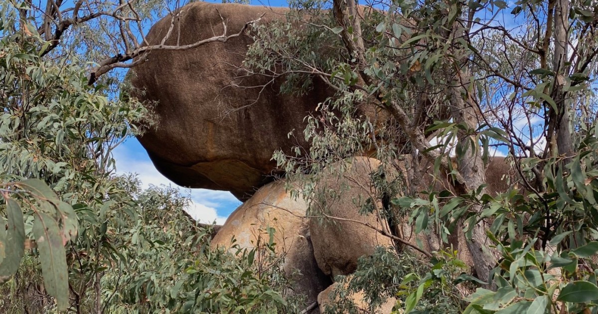 TNR - MT ELIZA, GIB PEAK AND MUSHROOM ROCK | Sun 15th Sep 2024