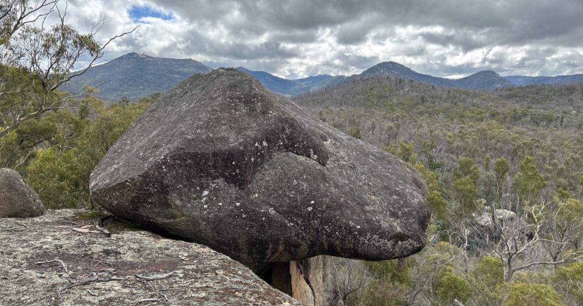 Hospital Creek - Turtle Rock and Snoopy Dog | Sun 02nd Mar 2025