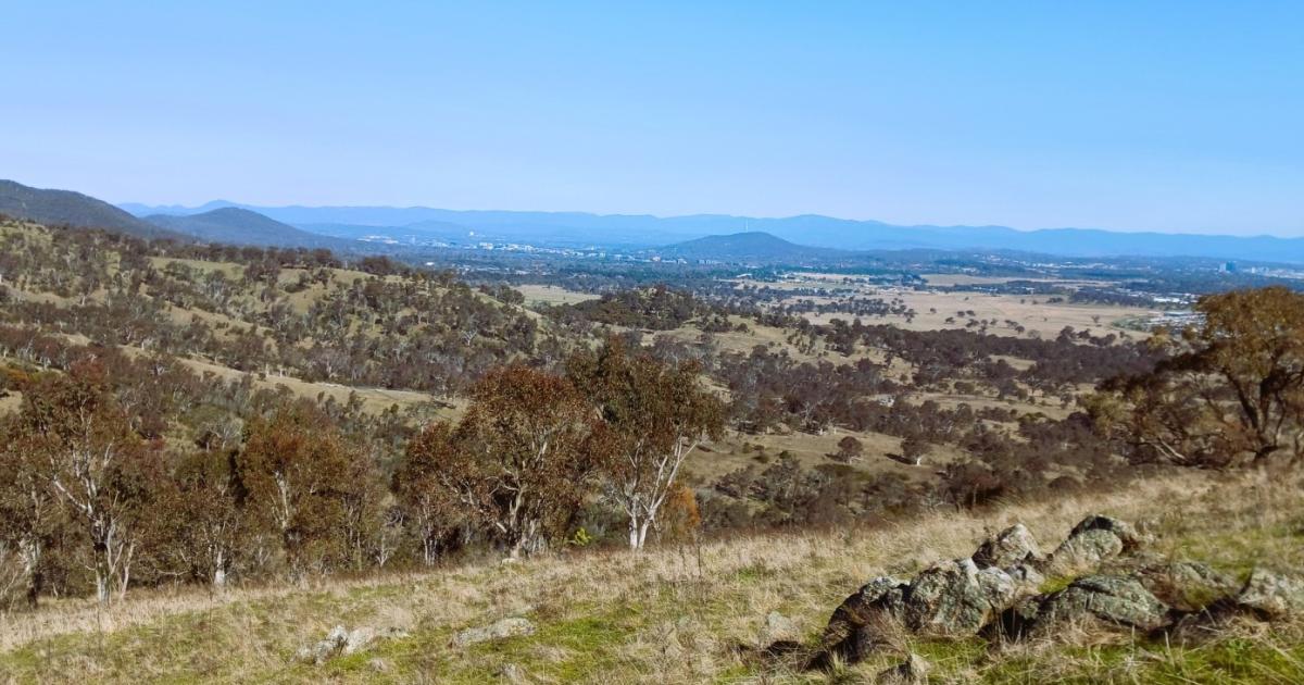 Goorooyarroo and the 9 knolls | Sun 16th Feb 2025 | Canberra Bush...