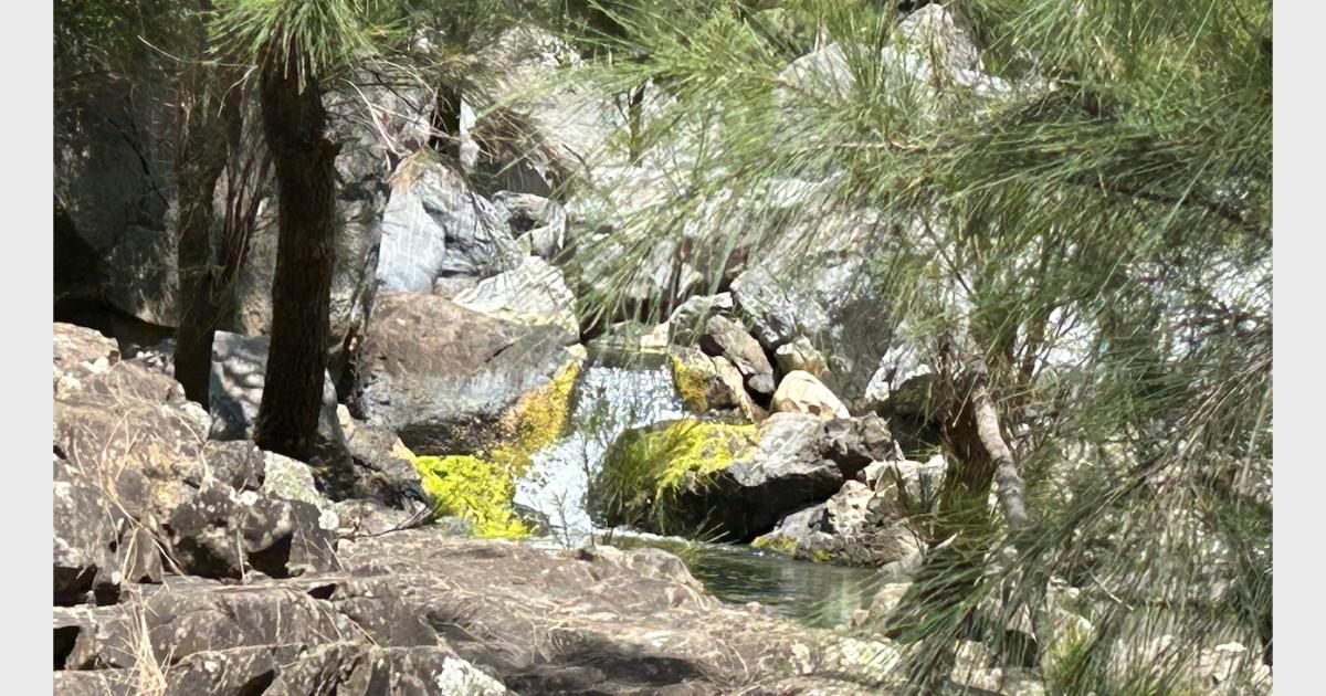 RED TRACK BUNGONIA NP | Sun 13th Apr 2025 | Canberra Bushwalking...