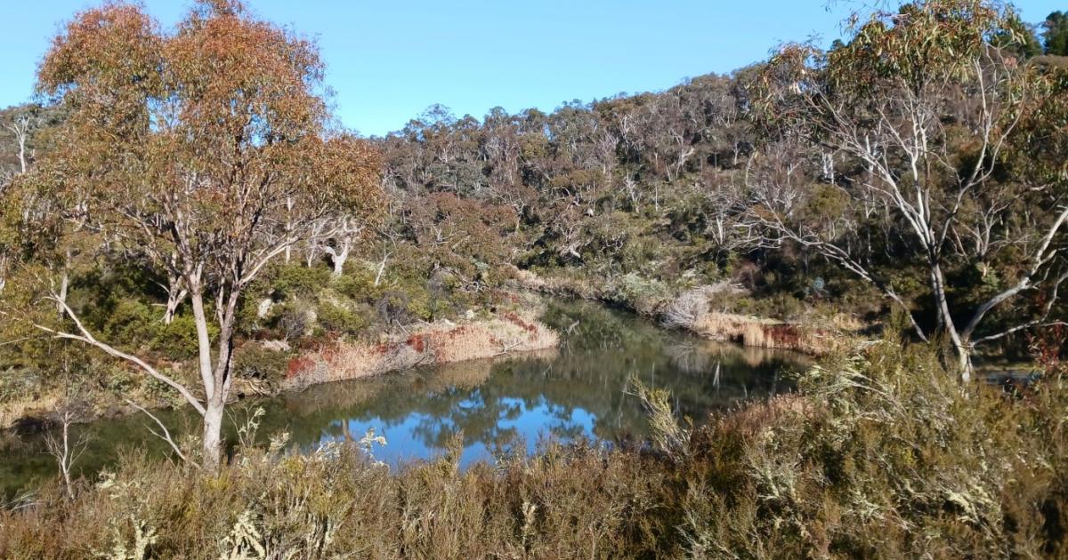 Molonglo Gorge Nature Reserve | Sun 06th Jul 2025 | Canberra Bush...