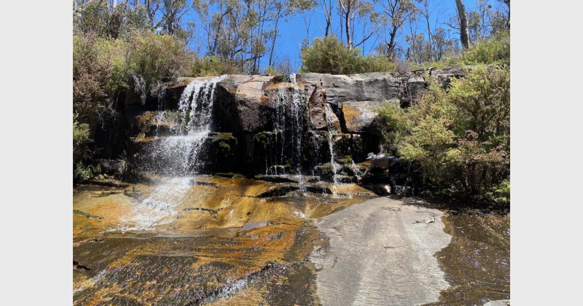 BOGONG CREEK FALLS | Sun 19th Oct 2025 | Canberra Bushwalking Clu...