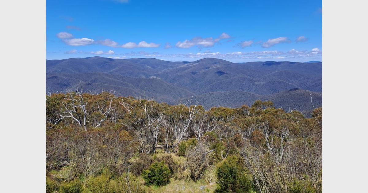 Mt Domain from Fishing Gap with exit via Snowy Corner | Sat 06th...