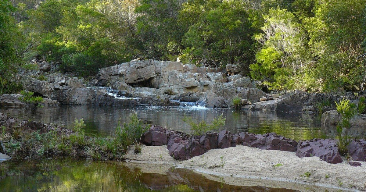 Genoa River, NSW | Fri 02nd Dec 2022