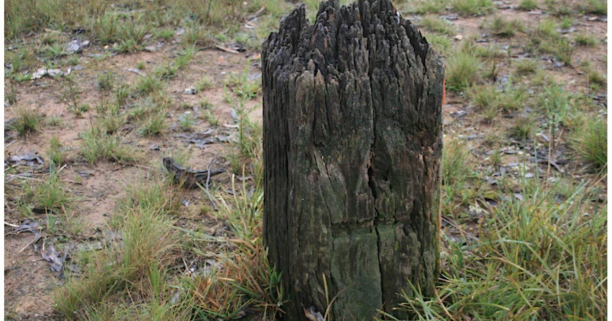 (Waitlist) Heritage Week - Stories From the Border - Follow the O...