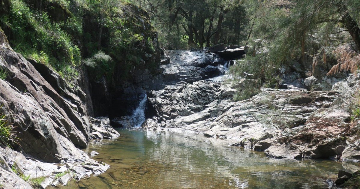 Wednesday walk Medium/Hard - Burrinjuck forests and a creek - CBC...