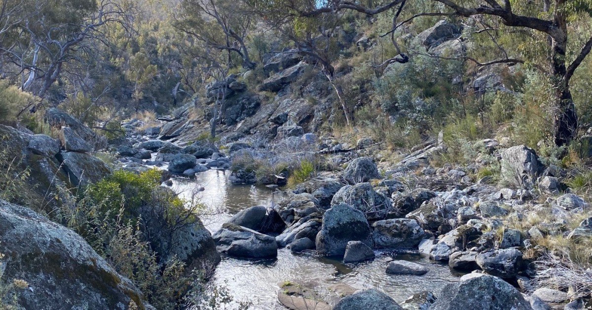 Mt Clear to Horse Gully Hut (Trip Full) | Sun 25th Jun 2023