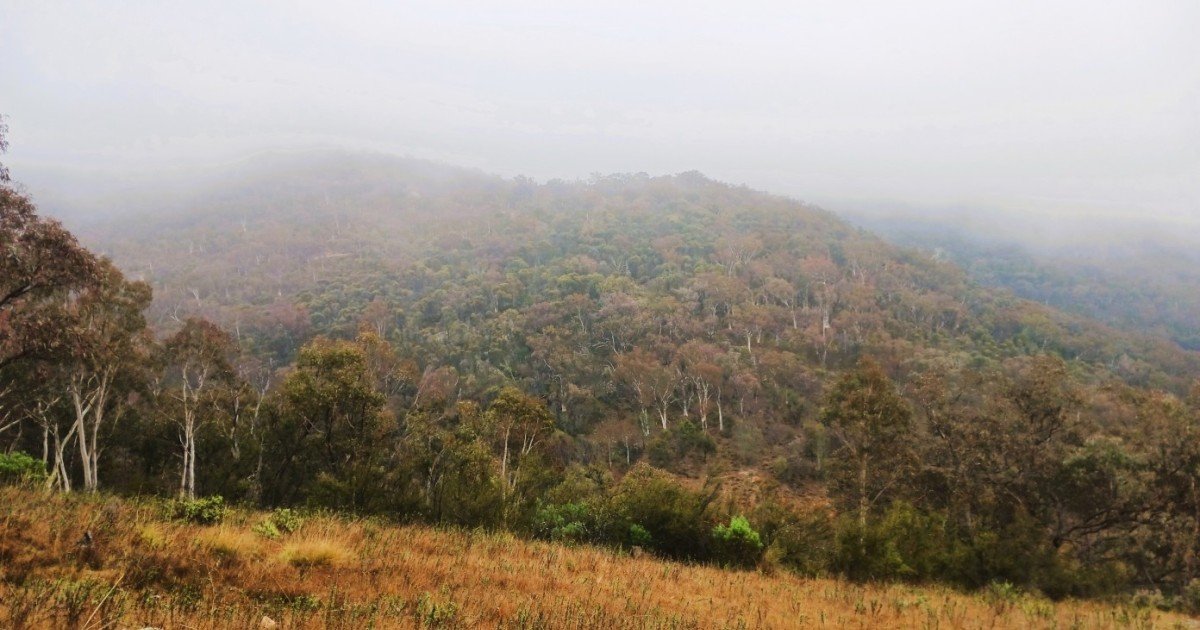 Tuggeranong Hill and Rob Roy Range Nature Reserves | Sat 08th Jul...
