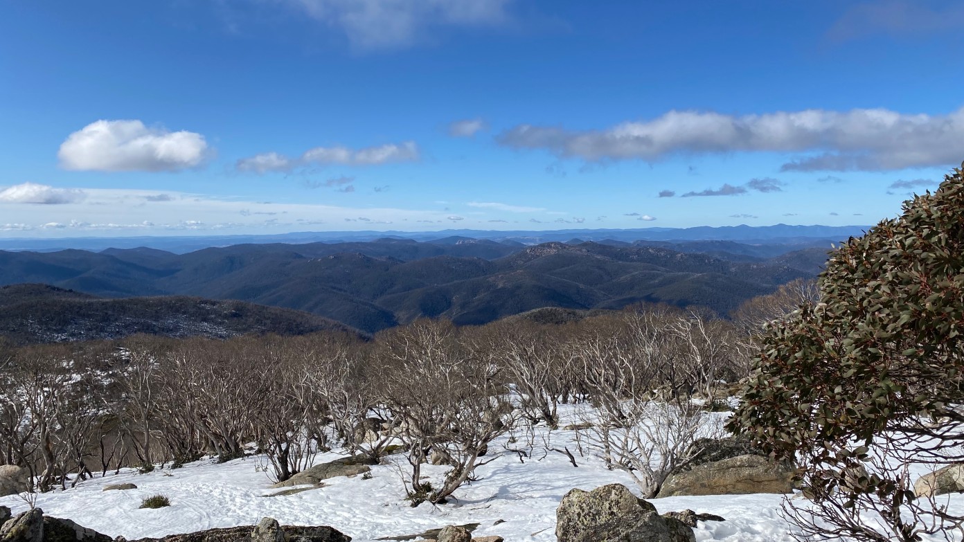 Mt Gingera via Stockyard Spur | Sun 02nd Jul 2023