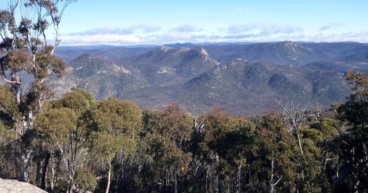 Mt Tennent and Bushfold Flats | Sat 26th Aug 2023