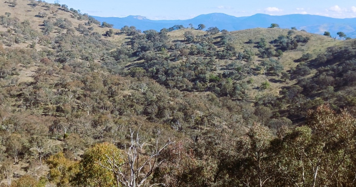 Rob Roy Range Nature Reserve Loop Trail | Sat 02nd Sep 2023 | Can...