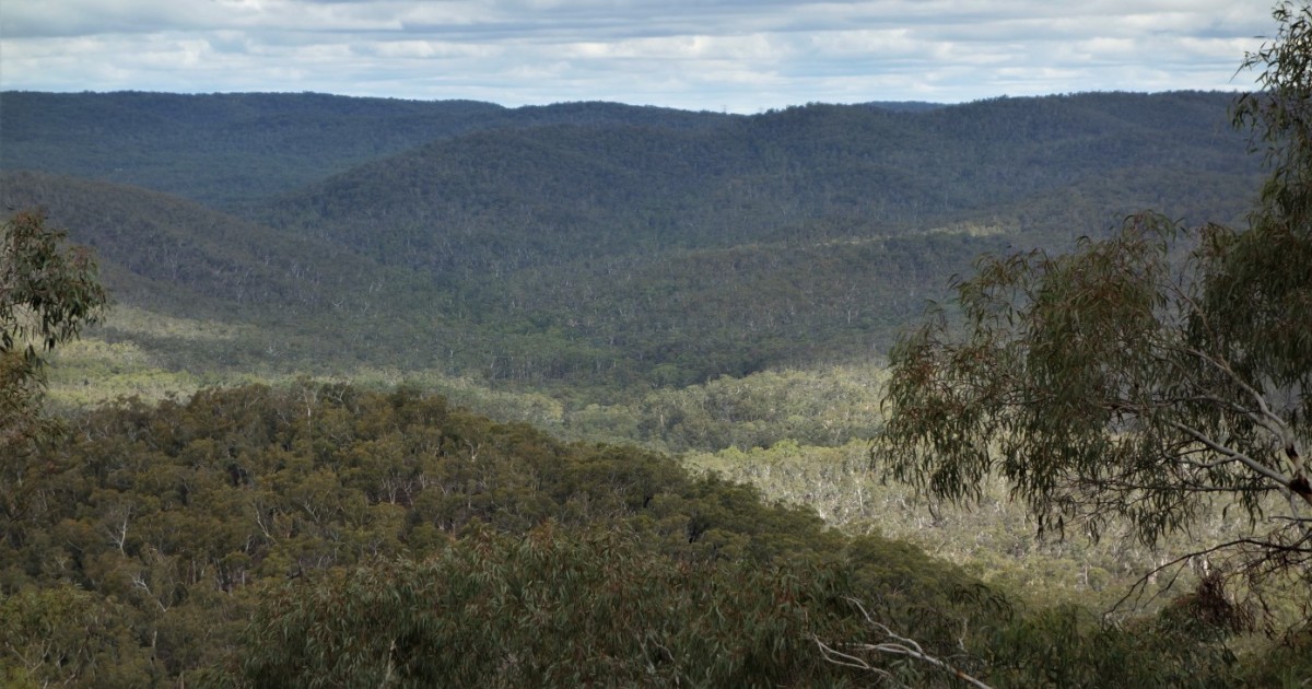 The Abercrombie River, Blue Mountains National Park | Tue 22nd Au...