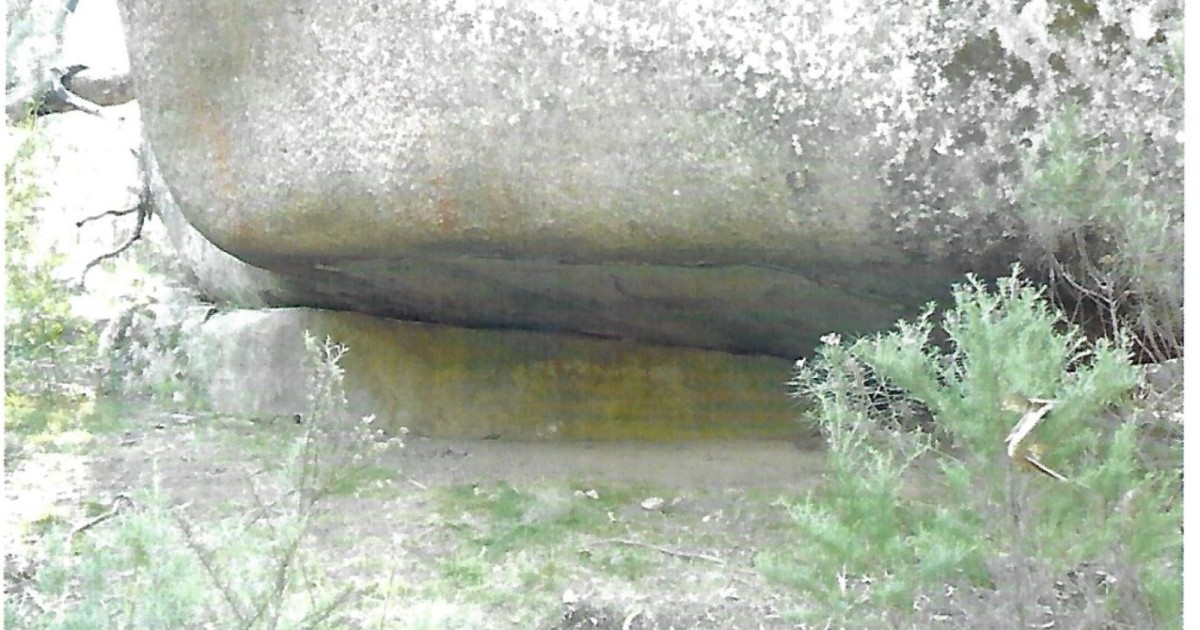 A search for NS1 | Sat 09th Sep 2023 | Canberra Bushwalking Club