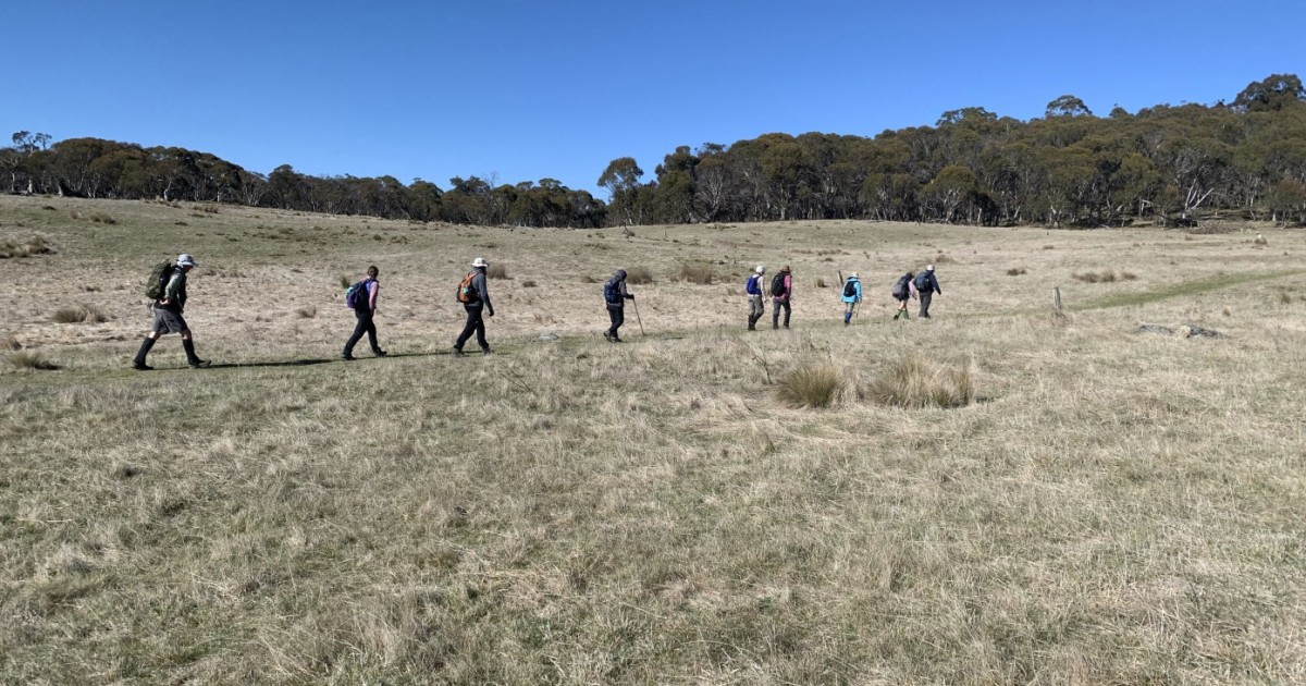 Bushwalking NSW Online Training - available to ALL CBC members