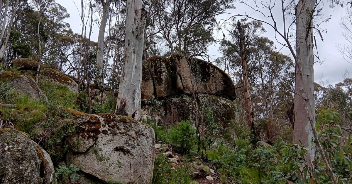 Square Rock & Smokers Trail | Sun 28th Jan 2024