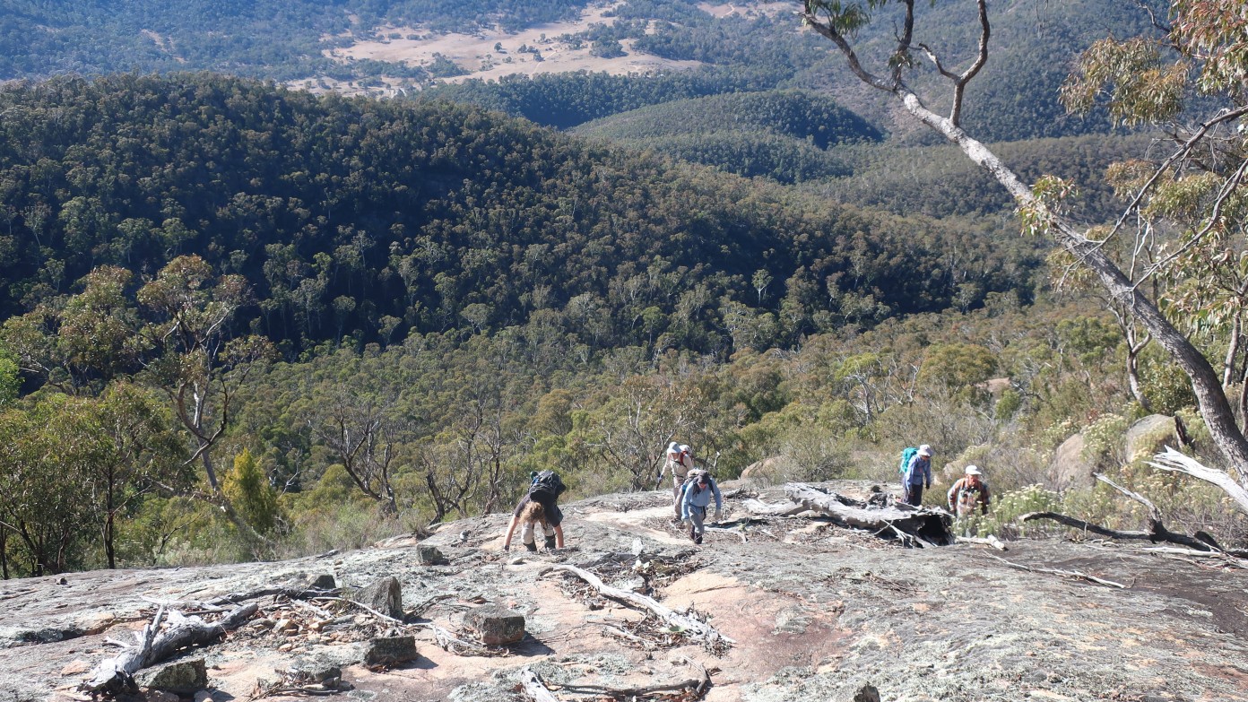 Nursery Slabs | Wed 14th Feb 2024 | Canberra Bushwalking Club