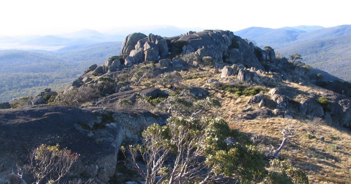 Bagging the big ones: walk to Mts Bimberi, Murray and Morgan | Th...