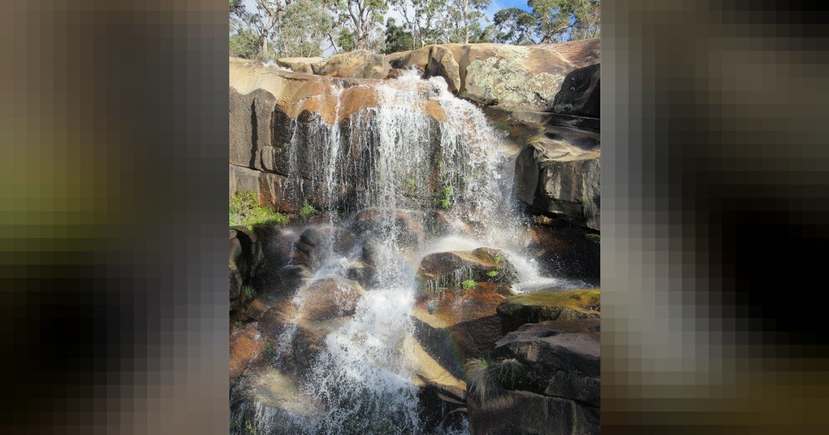 Christmas Day at Gibraltar Falls Woods Reserve Dec 25th 2022...