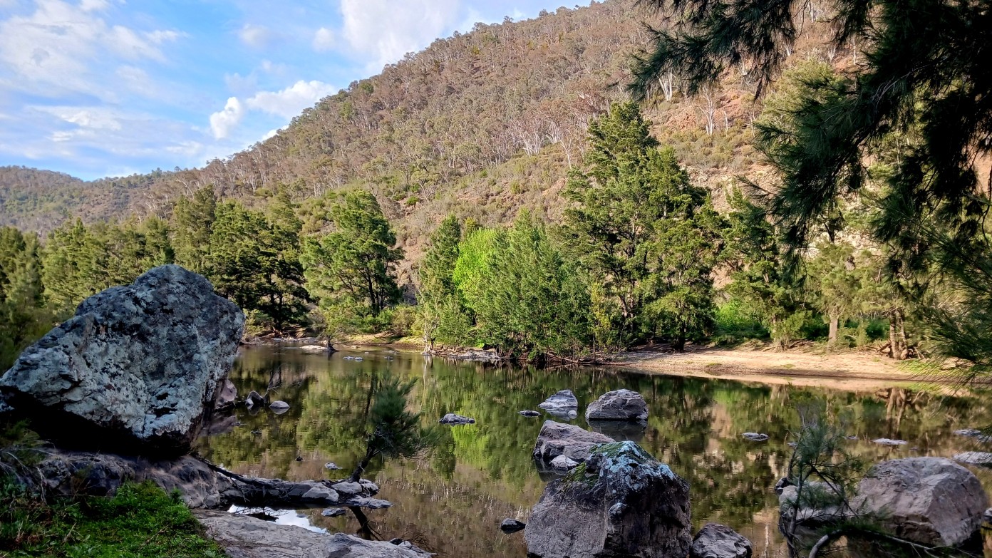 Murrumbidgee River corridor | Sun 09th Jun 2024 | Canberra Bushwa...