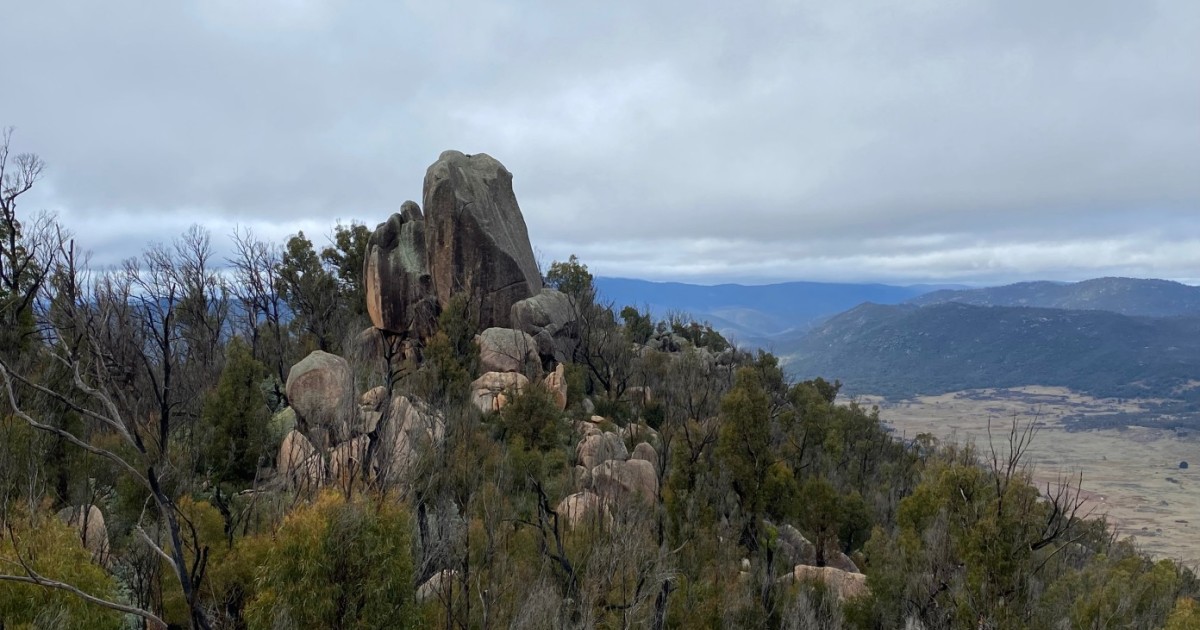 Spinnaker, Cloisters, Belfry and Tower Rocks | Sun 16th Jun 2024...