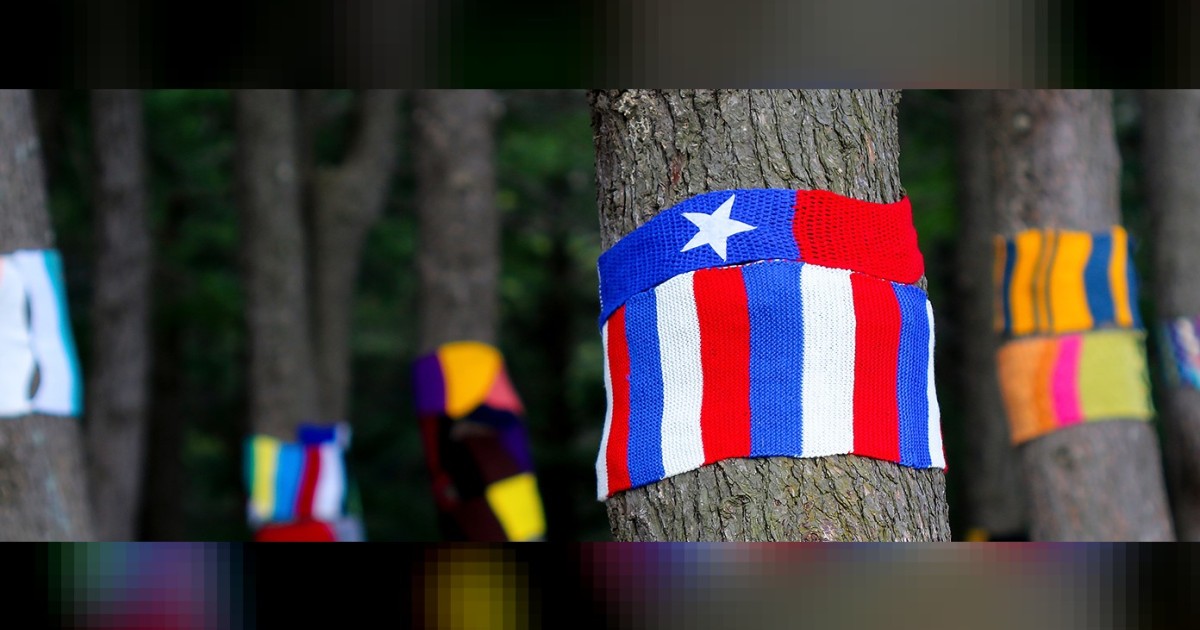 Warm Trees 2024 Arboretum | Sun 28th Jul 2024