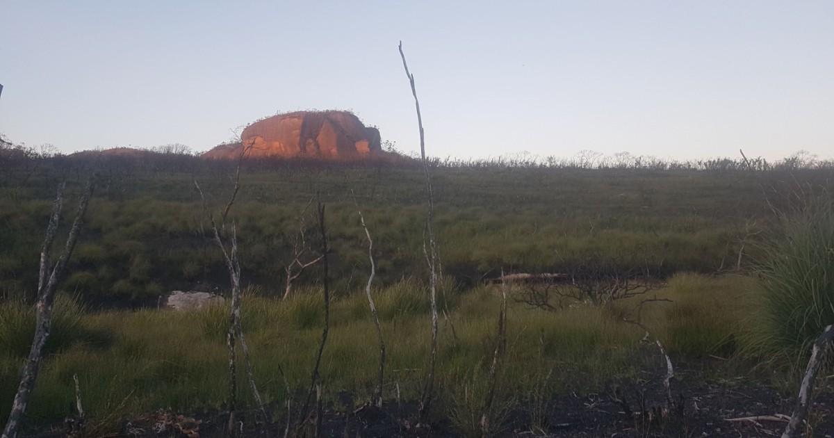 Overnighting the four Corangs of the Budawangs | Sat 24th Aug 202...