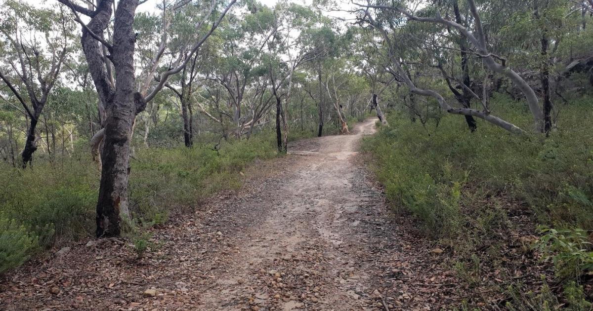 GRAYS POINT CAFE WALK (Grade 3) - AUDLEY - HACKING RIVER | Tue 20...