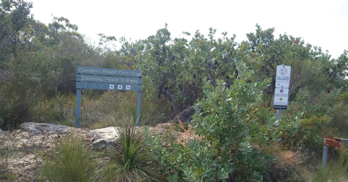 New Date: ROYAL NP (Grade 3) - RED JACKS AND COSTENS POINT LOOP