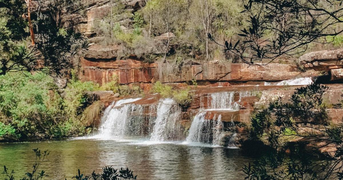ROYAL NP - AUDLEY TO WINIFRED FALLS (Grade 3) | Thu 28th Aug 2025...