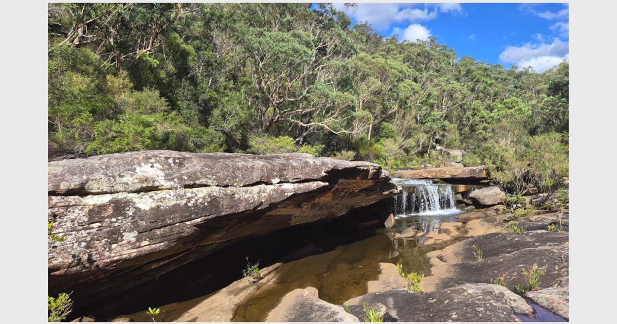 HEATHCOTE NP - Waterfall to Heathcote (Grade 4) | Sun 17th Aug 20...