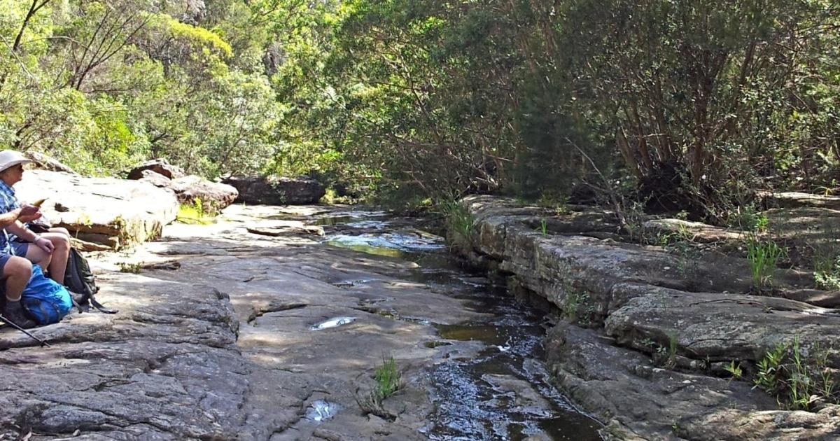 ENGADINE STATION TO COMO STATION (Grade 2/ Grade 3) | Wed 12th No...