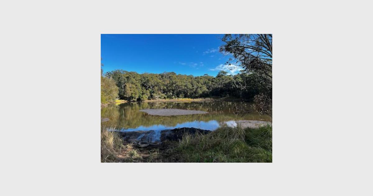 GEORGES RIVER NP (Grade 3) - Yeramba Lagoon Bushland | Thu 20th N...