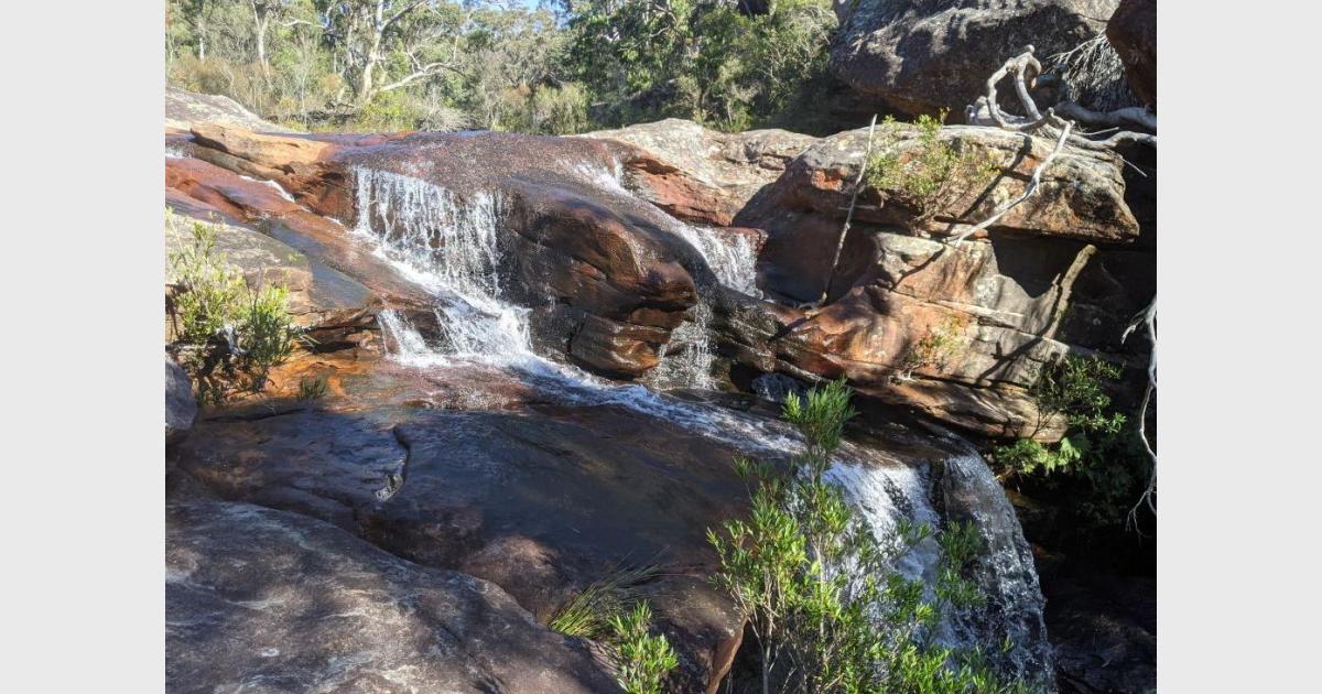 ROYAL NP (Grade 4) - SW Arm Creek plus two Waterfalls | Wed 08th...
