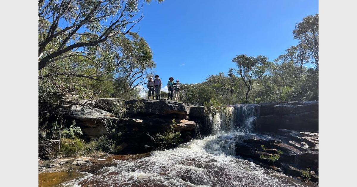 New activity: ROYAL NP (Grade 4) - Curra Moors, Curracurrong Cree...