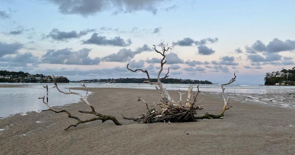 New Activity: AFTERNOON WALK - ROYAL NP (Grade 3/4) Around Maia...