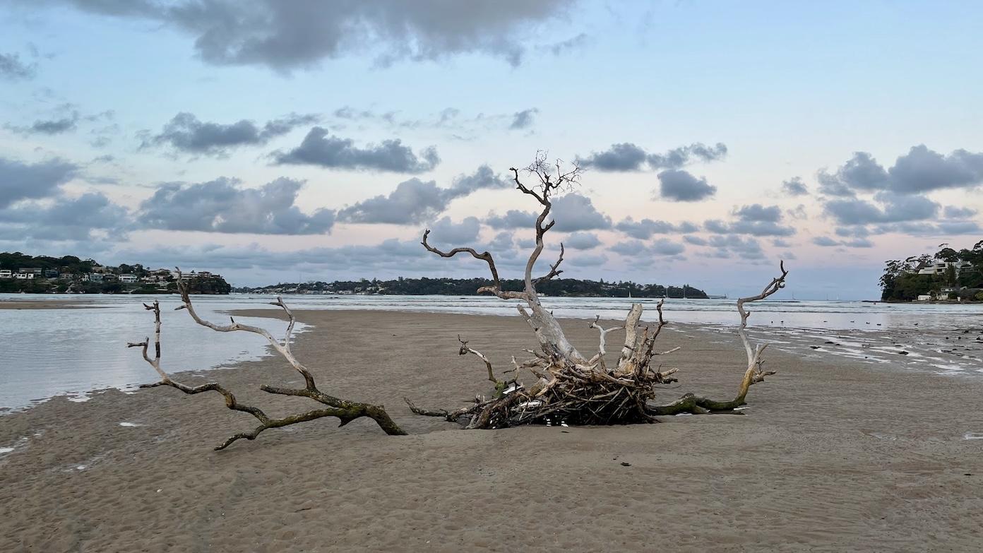 New Activity: AFTERNOON WALK - ROYAL NP (Grade 3/4) Around Maia...